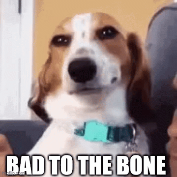 Bad To The Bone Meme - Imgflip