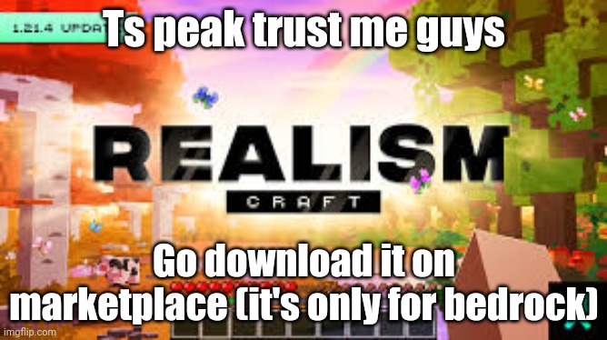 is called realism craft in case you didn't see - Imgflip