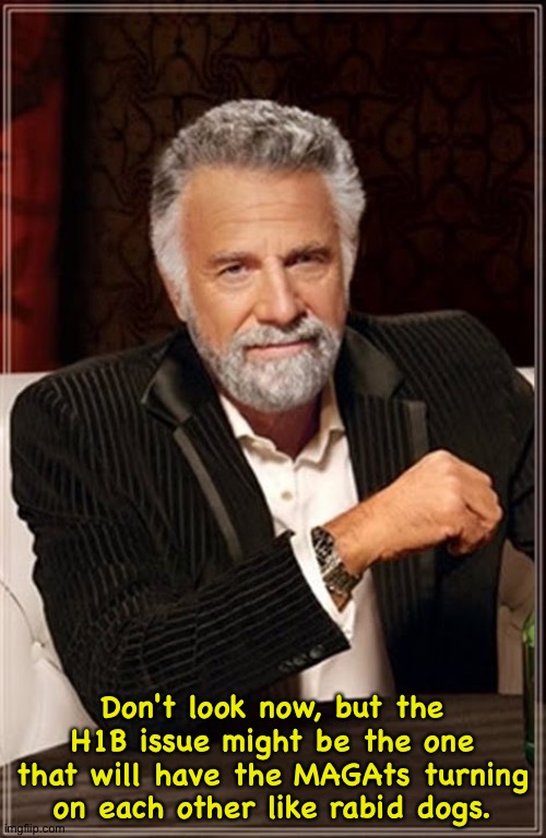 Split down the middle, they will be. - Imgflip