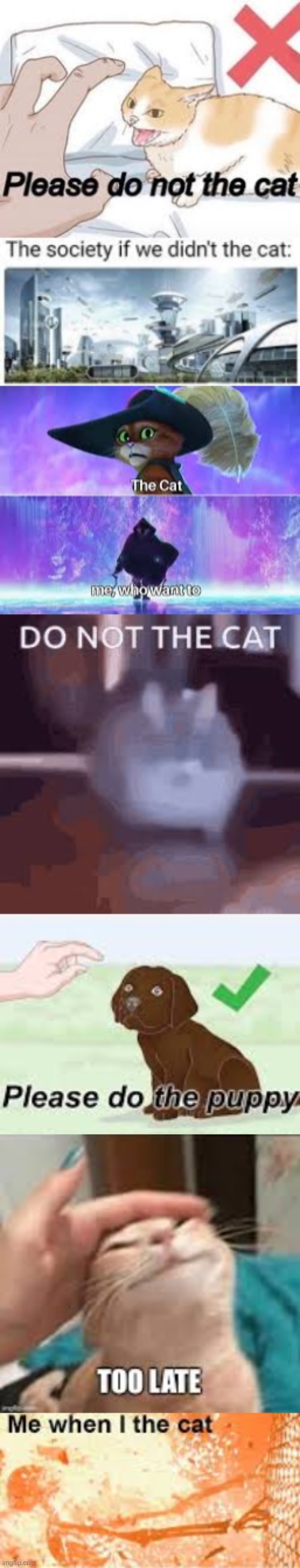 Image tagged in please do not the cat - Imgflip