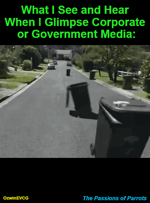 The Passions of Parrots - Imgflip