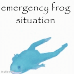 emergency frog situation - Imgflip