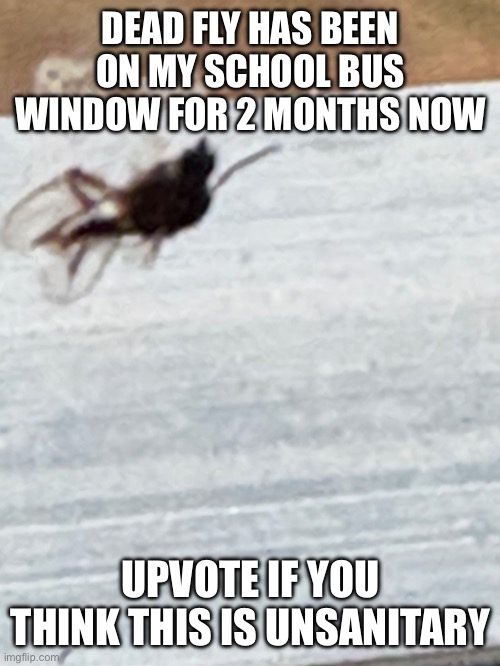 Image tagged in funny - Imgflip