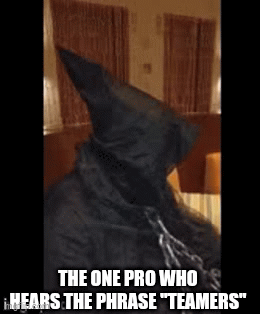 The one pro who hears the phrase "teamers" - Imgflip