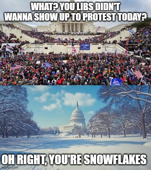 Snowflakes - Imgflip