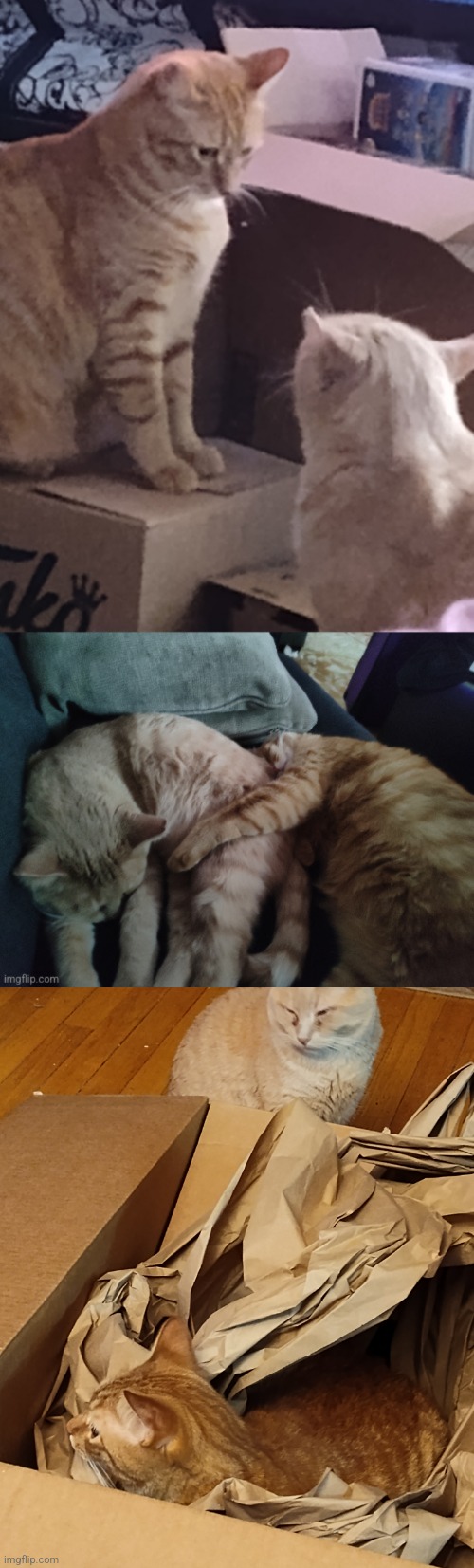 Goose and Butters being weird - Imgflip