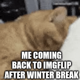 I'm back - Imgflip