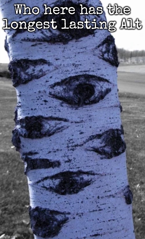 what a nice tree - Imgflip