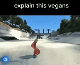 Animated GIF - Imgflip