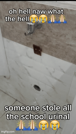 What the hell???? - Imgflip