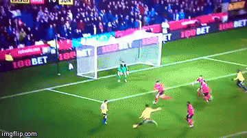 Animated GIF - Imgflip