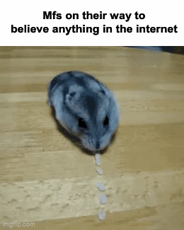 Smol hamster - Imgflip