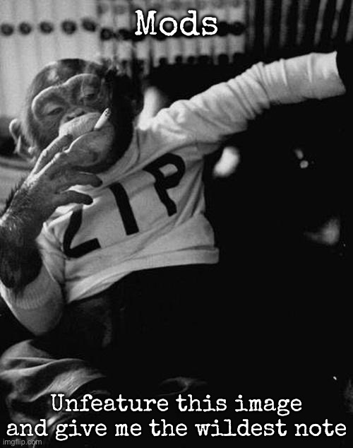 smoking monkey - Imgflip