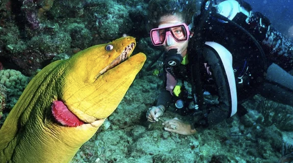 That's Amore Blank Template - Imgflip