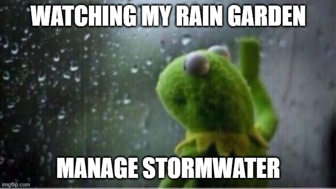 Kermit rain - Imgflip