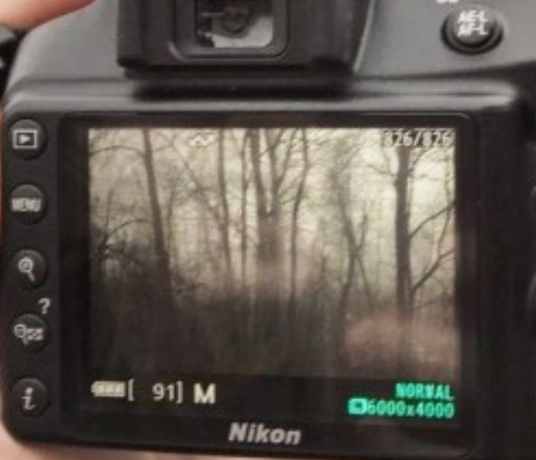 Nikon. Blank Template - Imgflip