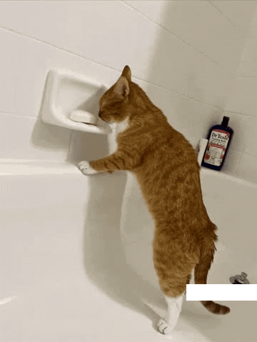 Dat Yucky - Imgflip