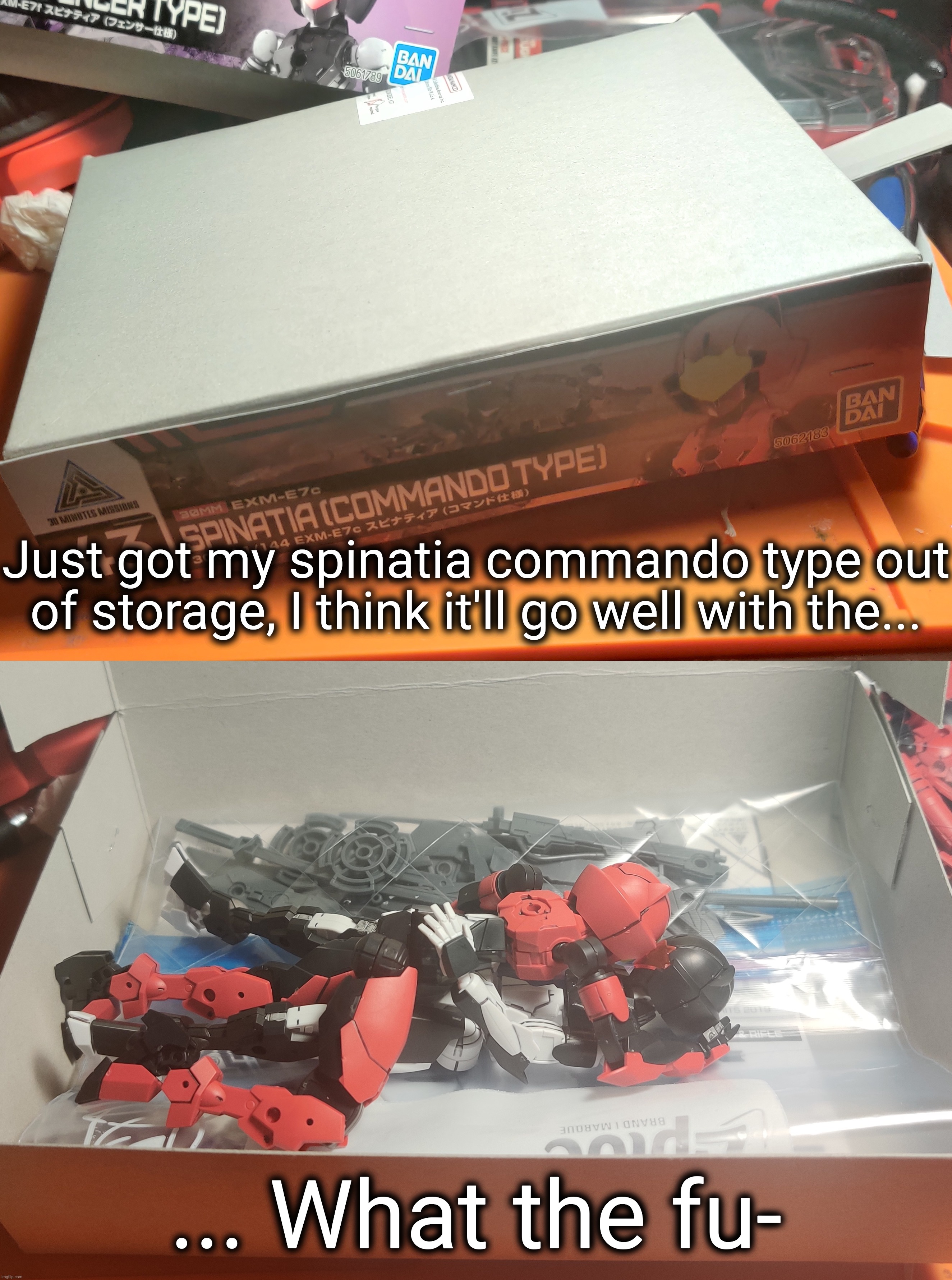 Model kit shitpost (gay robo women) - Imgflip