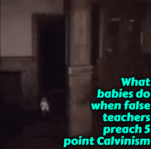 What Babies Do - Imgflip