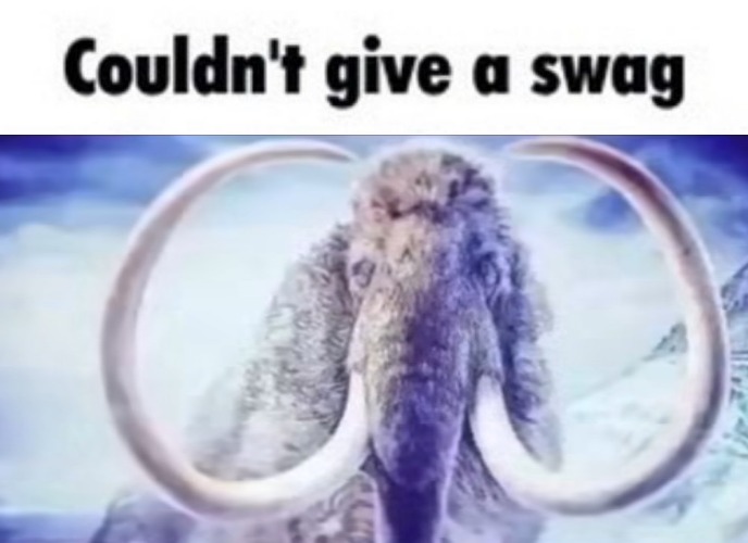 What happens if I combine the 2 most popular templates in msmg ...