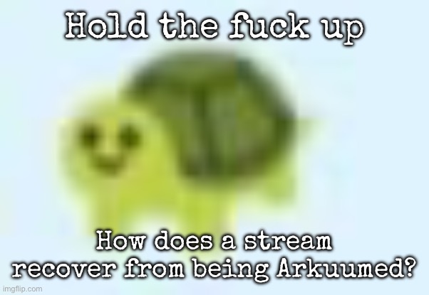 low quality turtle - Imgflip