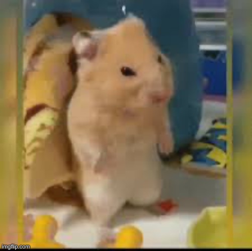 They’re becoming sentient :O - Imgflip