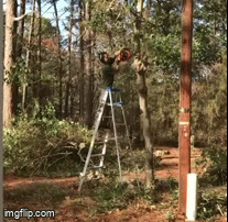 When You're a Lumberjack and You're Not Ok - Imgflip