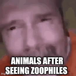 Prison Gif - Imgflip