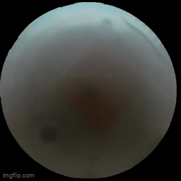Spinning stem player - Imgflip