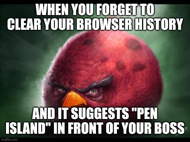 Realistic Angry Bird (big red) - Imgflip