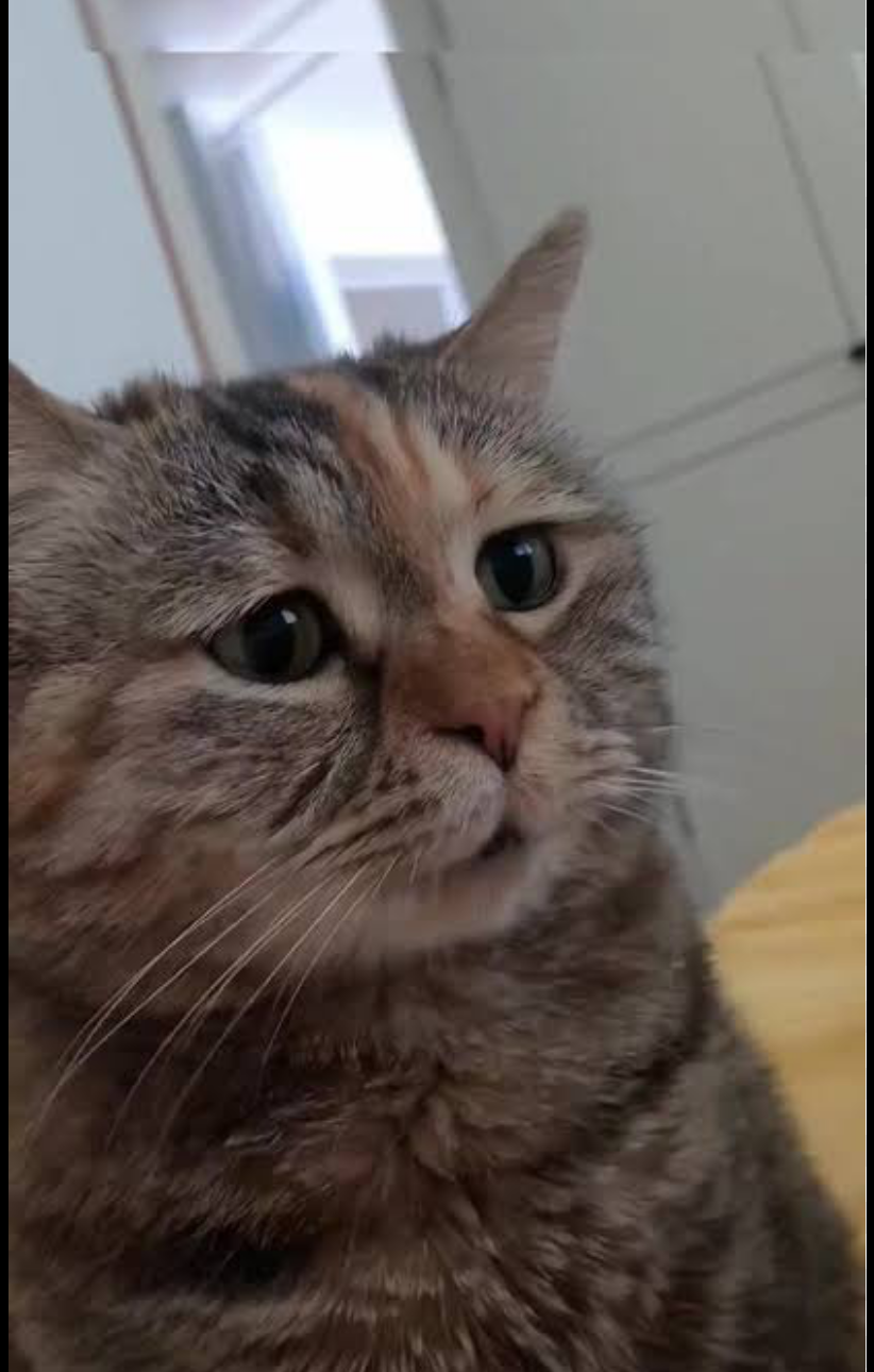 Guy Blank Template - Imgflip