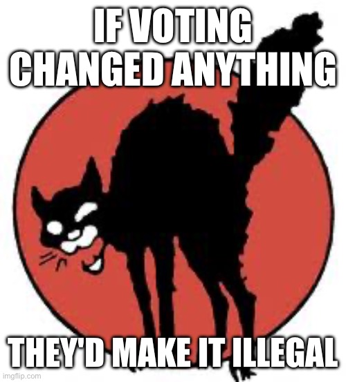 Angry sabo tabby - Imgflip