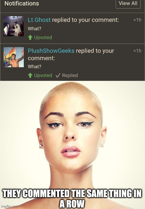 Image tagged in bald woman - Imgflip