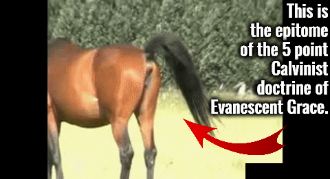 Best Description Of Evanescent Grace - Imgflip