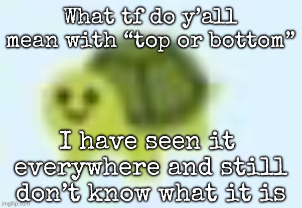 low quality turtle - Imgflip