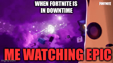 Fortnite Downtime - Imgflip