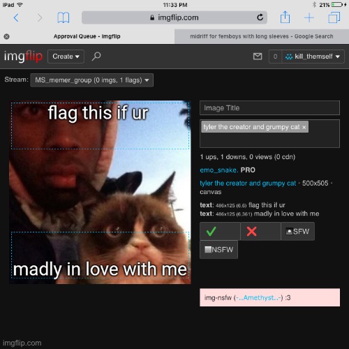 tyler the creator and grumpy cat - Imgflip