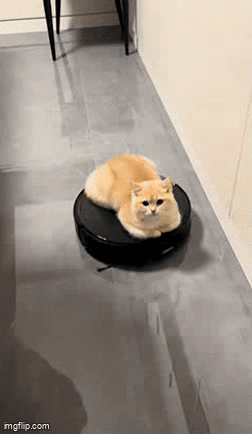 Roomba ride - Imgflip