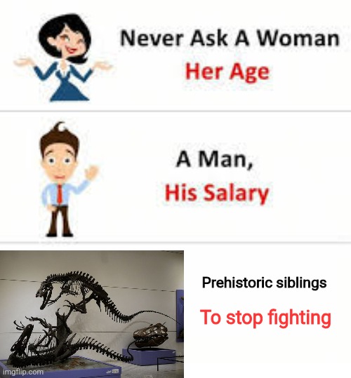 Never ask a woman her age - Imgflip