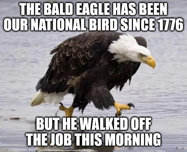 Walking Eagle - Imgflip