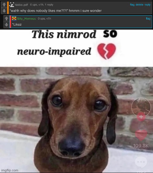 Image tagged in this nimrod so neuro-impaired - Imgflip