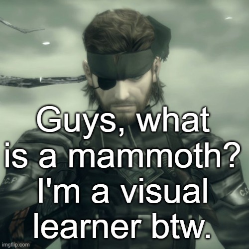 Metal Gear Solid Snake - Imgflip