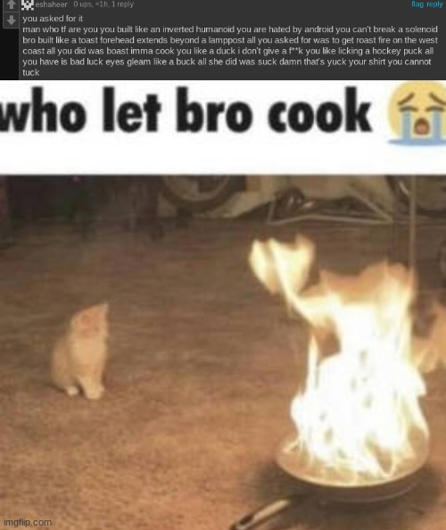 Image tagged in who let bro cook - Imgflip