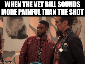 vet bill - Imgflip