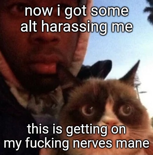 tyler the creator and grumpy cat - Imgflip