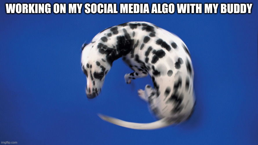 Dog chasing tail - Imgflip