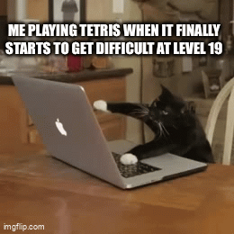 Tetris on school computer - Imgflip