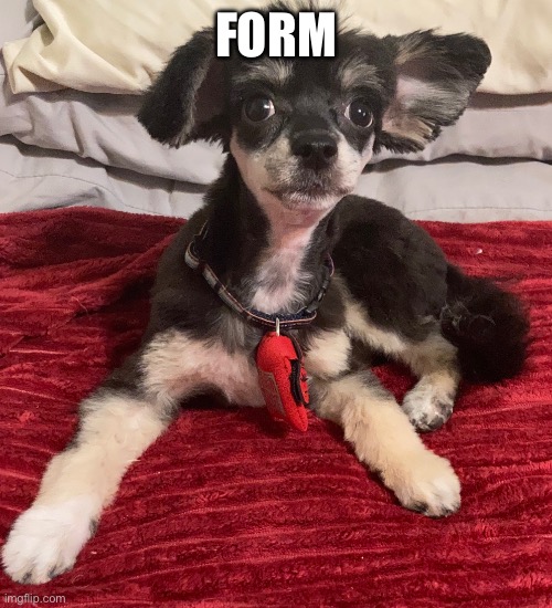 Fucker got a haircut - Imgflip