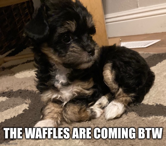 Just a warning - Imgflip