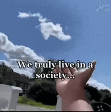 Animated GIF - Imgflip